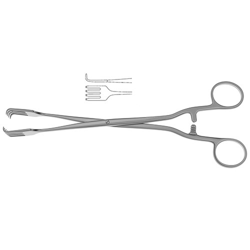 Elliot Obstetrical Forceps – Phoenix Pulse Industries